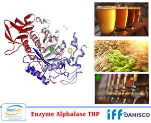 Enzyme trong sản suất bia rượu - Enzyme Alphalase THP